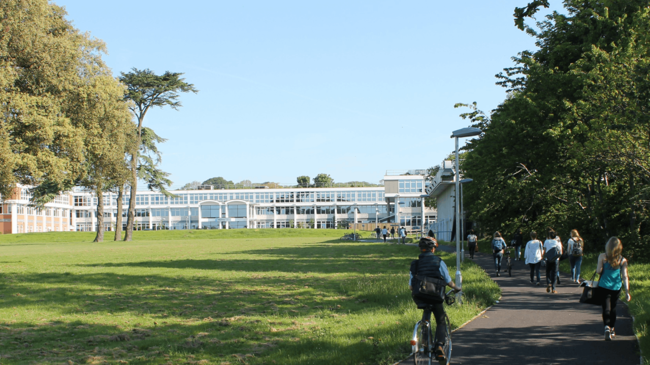 Download prospectus | Brighton MET